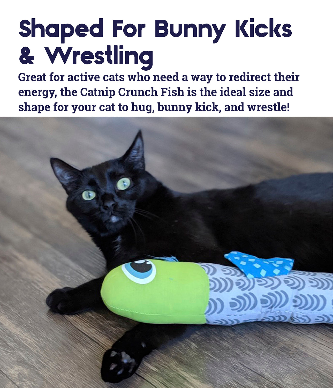 Petstages Catnip Crunch Fish Cat Toy – PetFit.ae